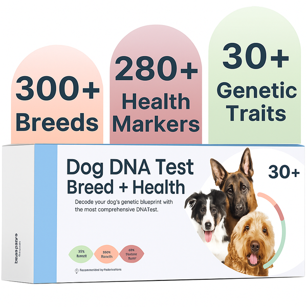 Dog DNA Test – WARDSUPPLYCO